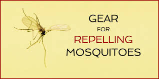 Shea Butter as Insect Repellant and Soothing Insect Bites – KBlessd Butters